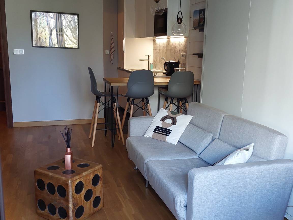 26 M² Studio Flat ∙ 1 Bedroom ∙ 2 Guests - Argentière