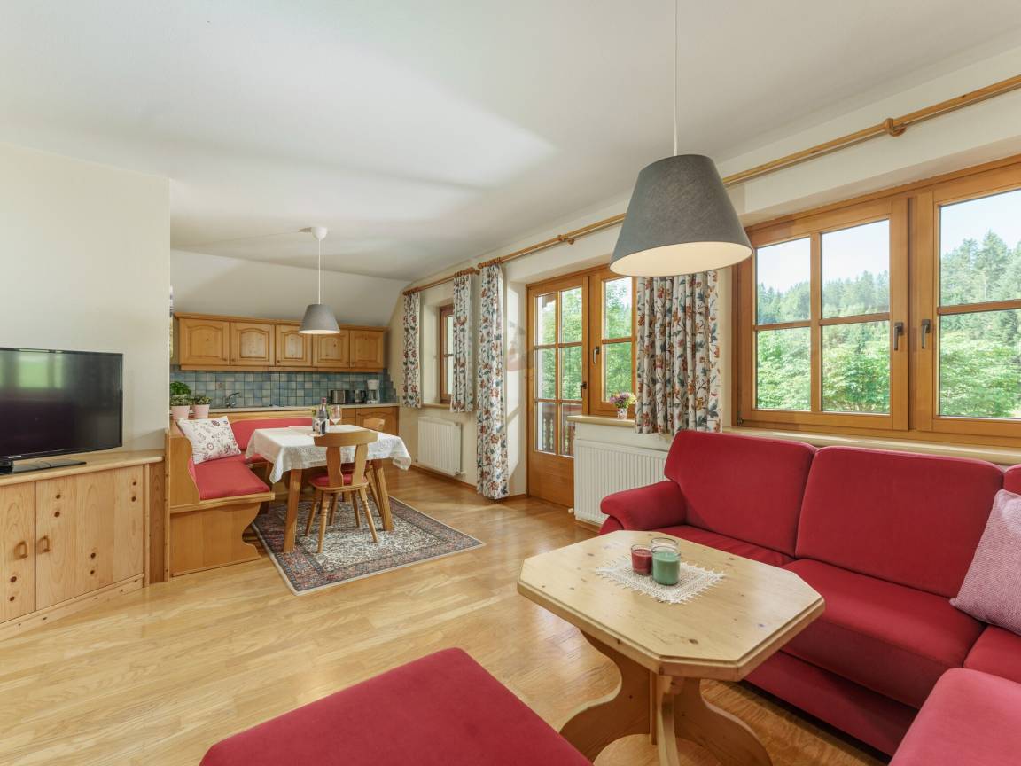 55 M² Apartamento ∙ 1 Habitación ∙ 2 Huéspedes - Schladming