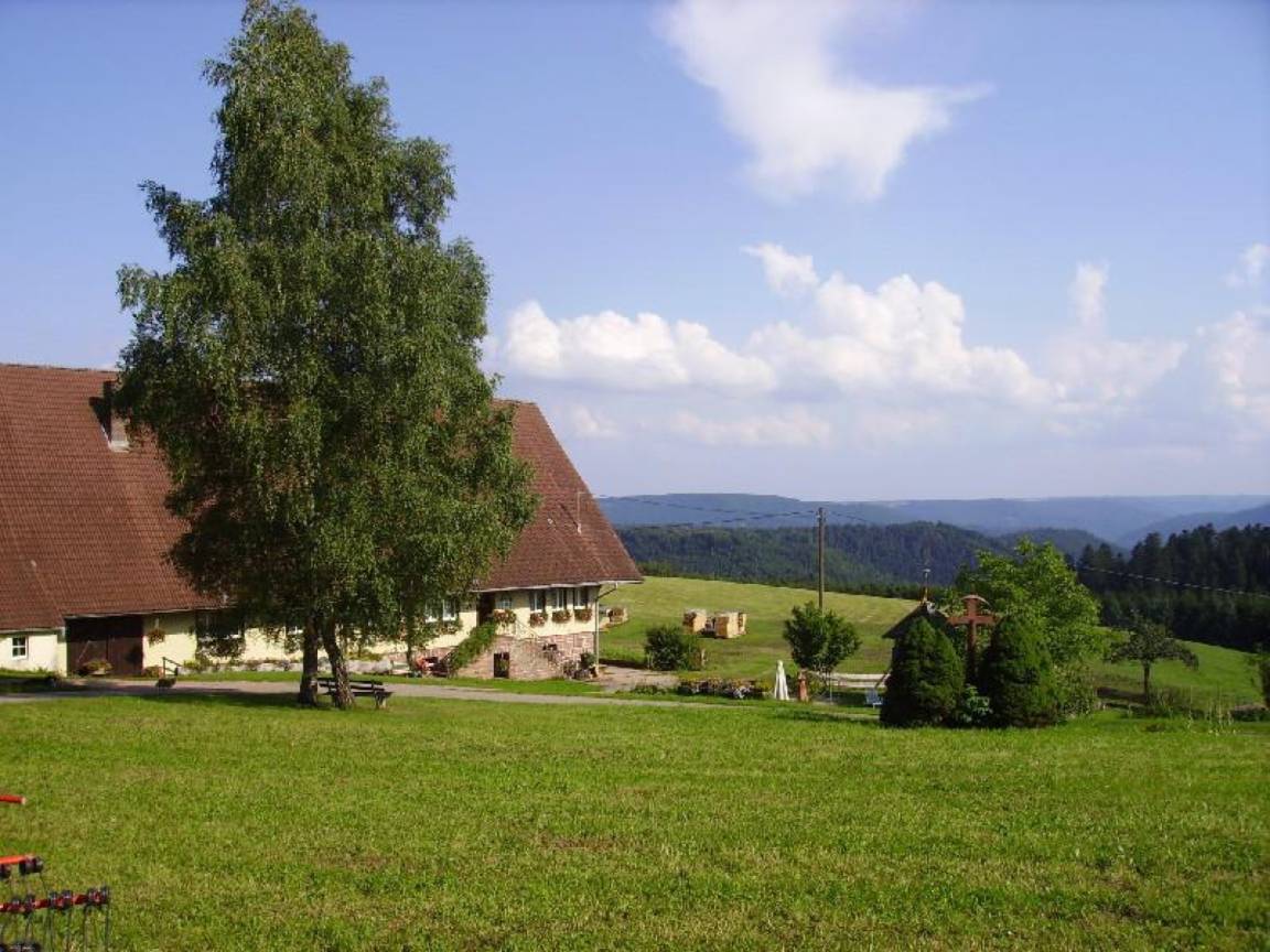 70 M² Ferienwohnung ∙ 2 Schlafzimmer ∙ 4 Gäste - Wolfach