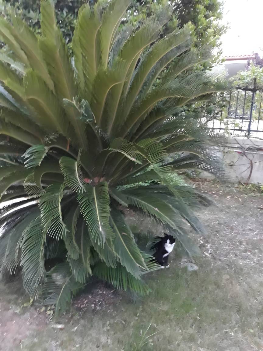 80 M² Huoneisto ∙ 2 Makuuhuonetta ∙ 6 Vierasta - Puglia