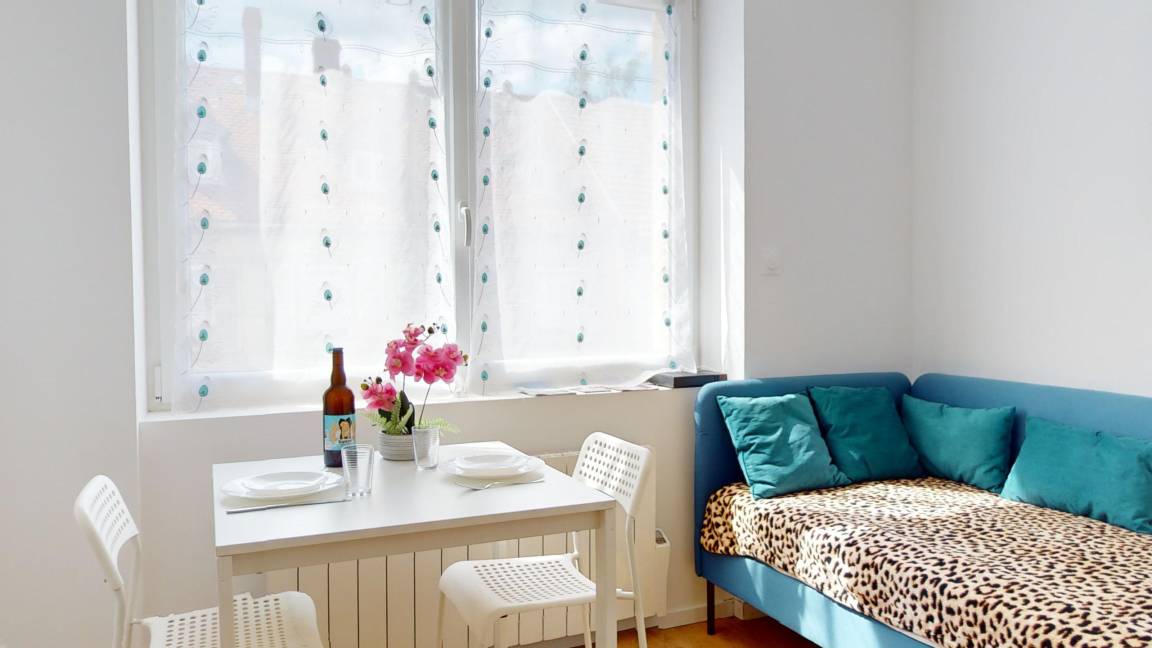 20 M² Apartamento ∙ 1 Habitación ∙ 3 Huéspedes - Colmar