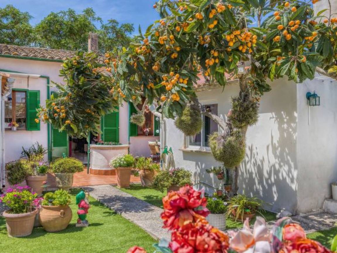 65 M² Casa ∙ 1 Habitación ∙ 4 Huéspedes - Palma