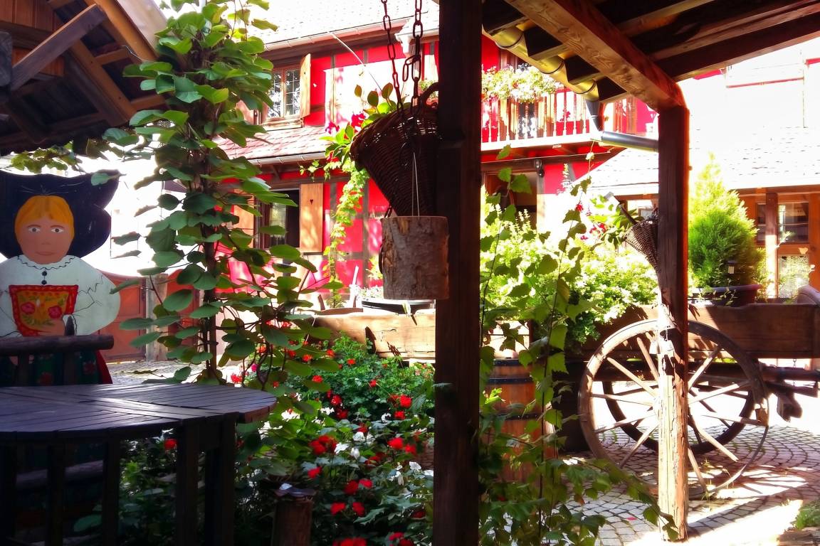 140 M² Villa ∙ 3 Bedrooms ∙ 6 Guests - Alsace