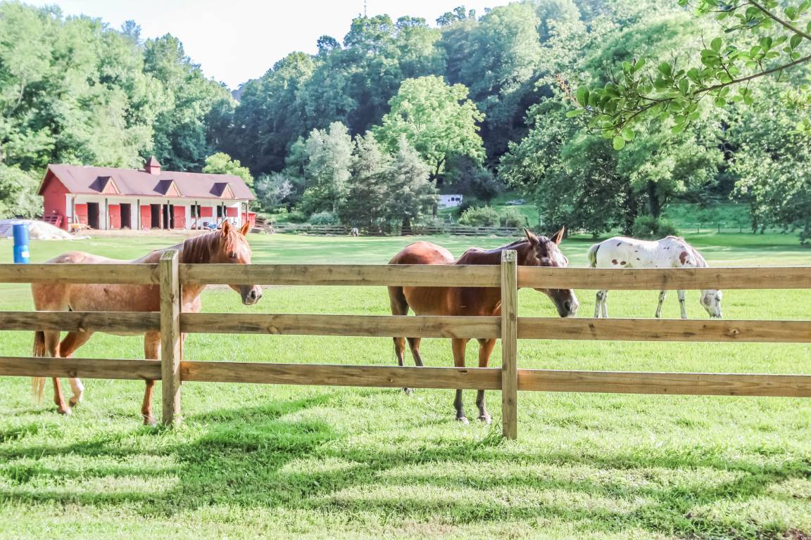 Condo ∙ 2 Bedrooms ∙ 6 Guests - Helen, GA