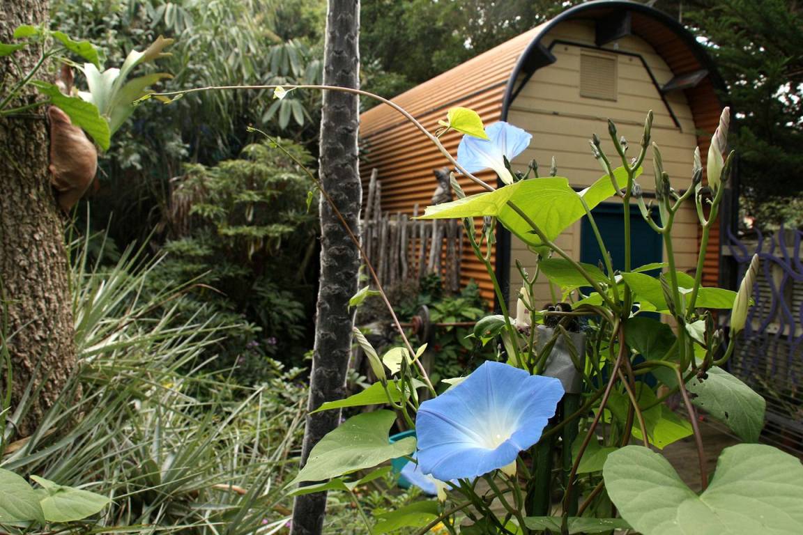Lodge ∙ 1 Bedroom ∙ 2 Guests - Wellington