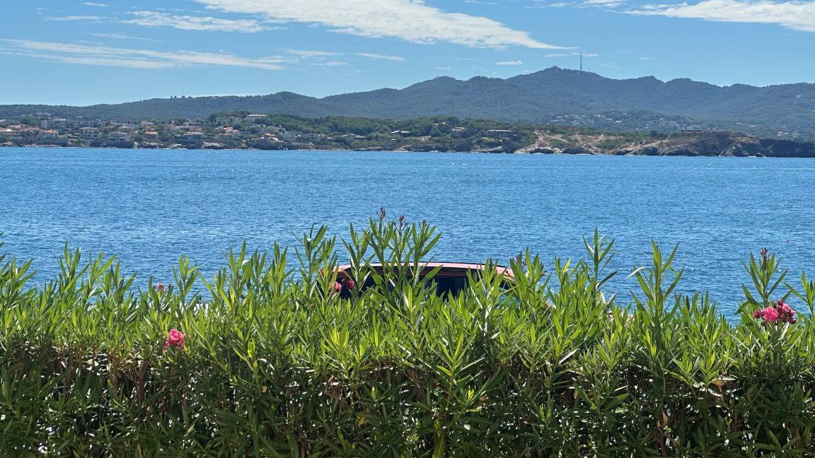 49 M² Apartamento ∙ 1 Habitación ∙ 4 Huéspedes - Sanary-sur-Mer