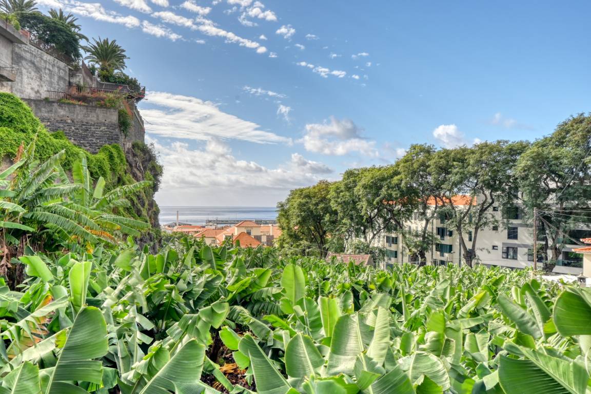 84 M² Maison De Vacances ∙ 2 Chambres ∙ 4 Personnes - Funchal