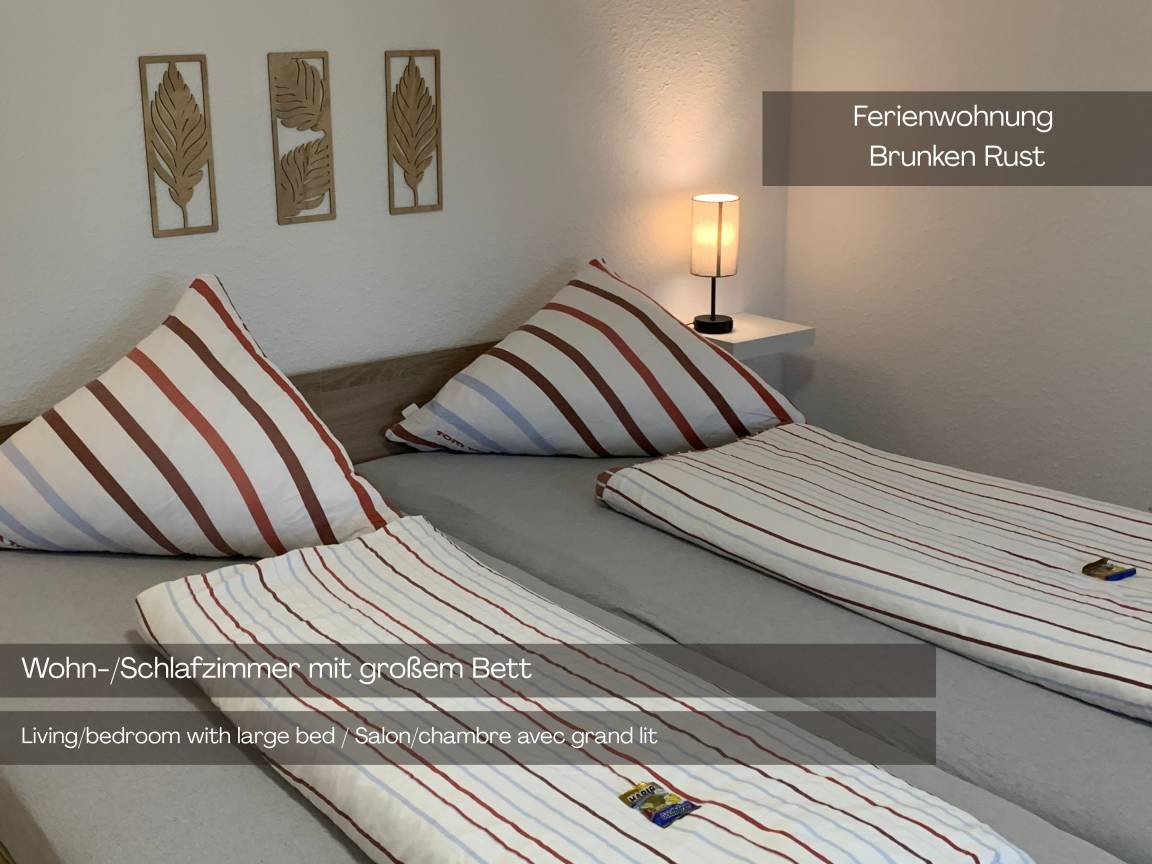 34 M² Apartment ∙ 1 Bedroom ∙ 2 Guests - Rust