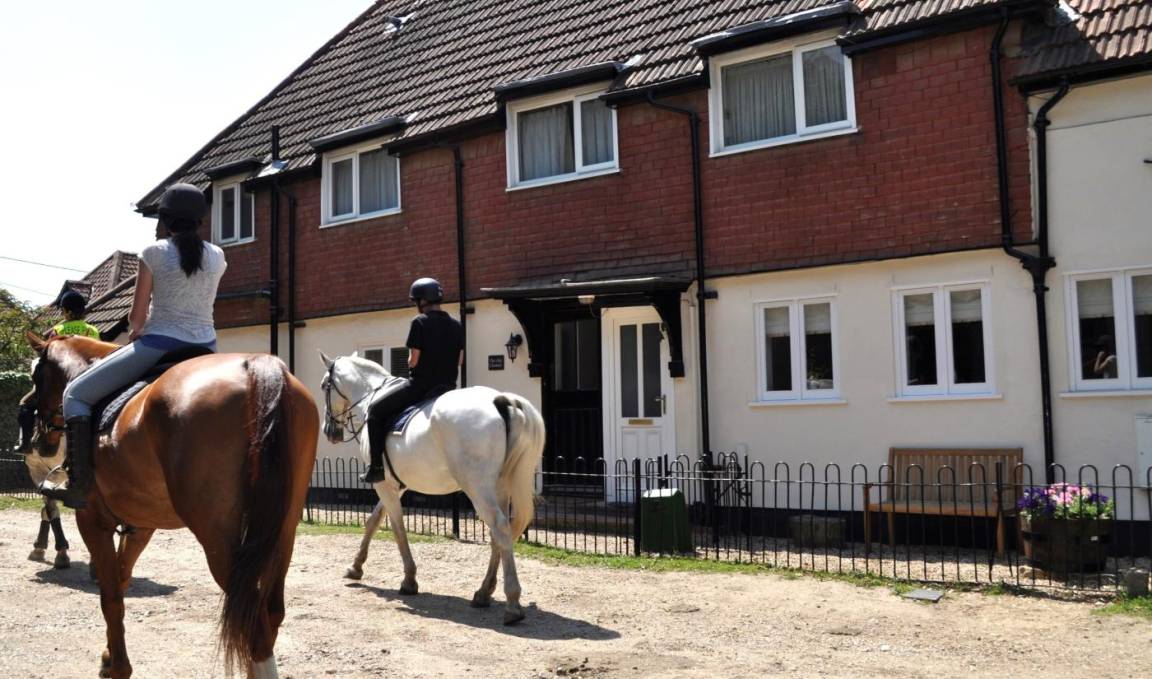 Apartment ∙ 3 Bedrooms ∙ 5 Guests - Brockenhurst