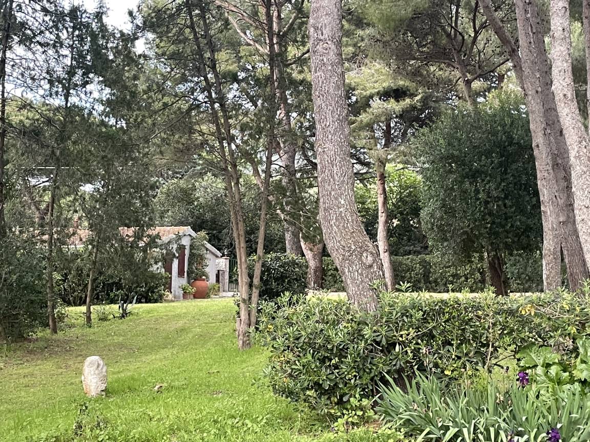 55 M² Farmhouse ∙ 2 Bedrooms ∙ 4 Guests - Campiglia Marittima