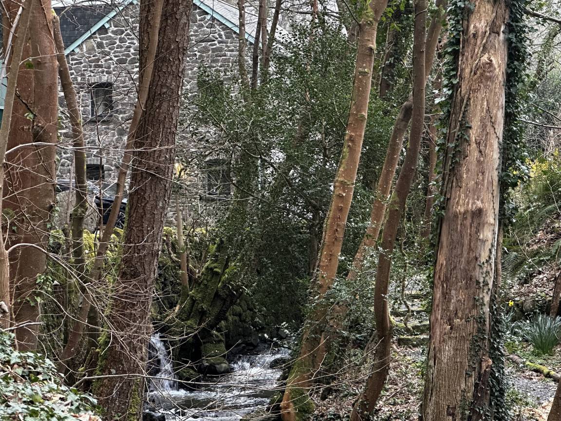 Cottage ∙ 1 Bedroom ∙ 2 Guests - Snowdonia National Park