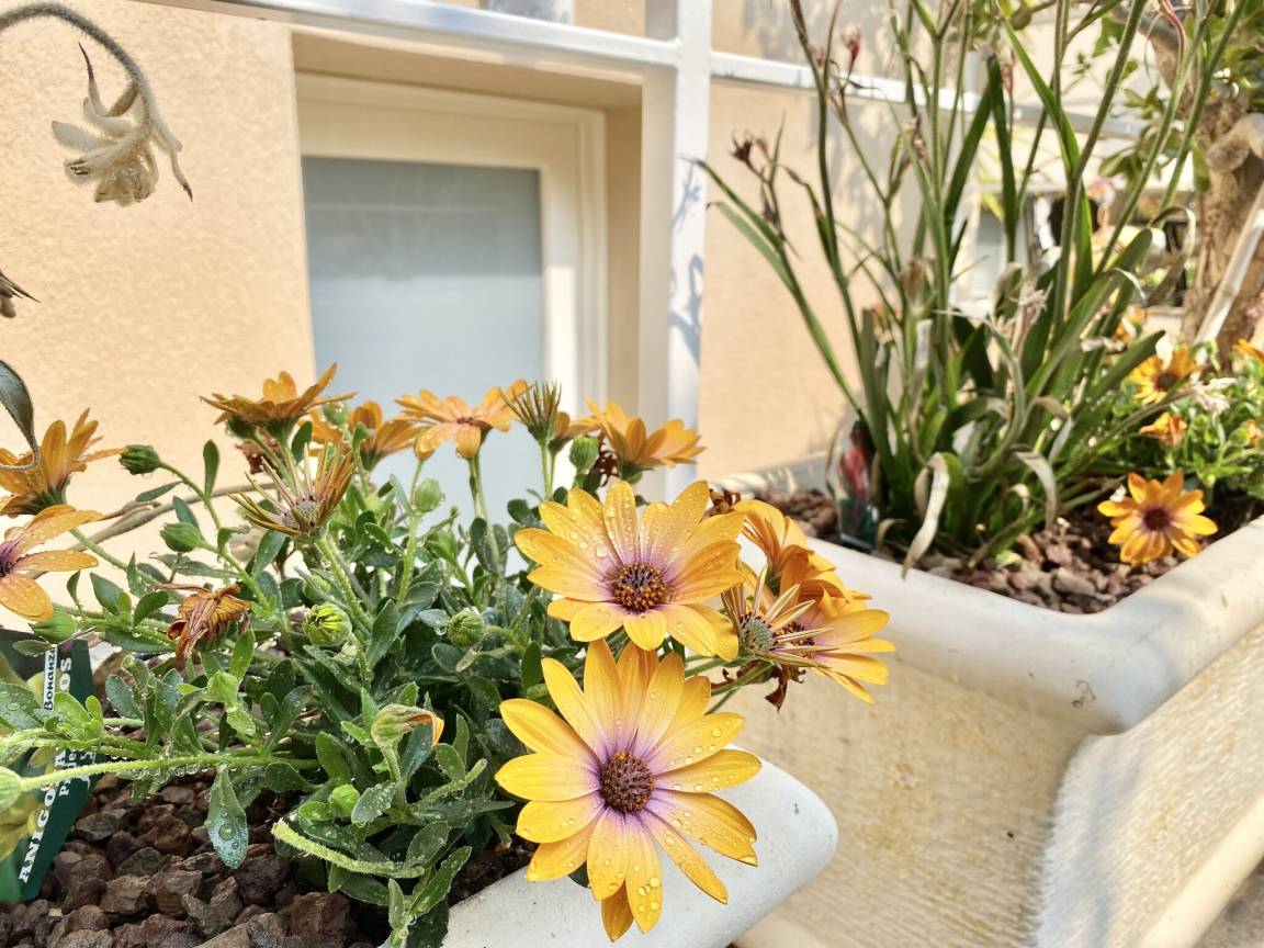 78 M² Appartement ∙ 2 Slaapkamers ∙ 5 Gasten - Limone Sul Garda