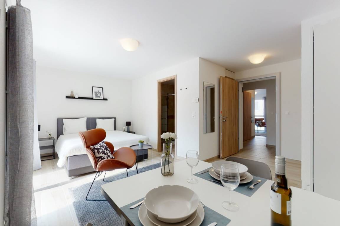 20 M² Studio ∙ 1 Chambre ∙ 2 Personnes - Aigle