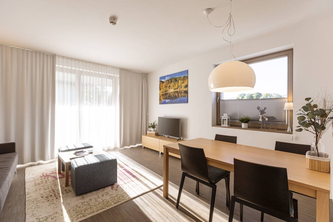 49 M² Appartamento ∙ 1 Camera Da Letto ∙ 4 Ospiti - Schladming