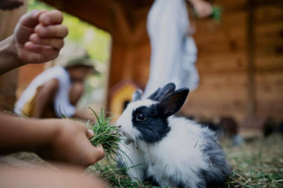 Apartment ∙ 2 Guests - Woodbury, NY