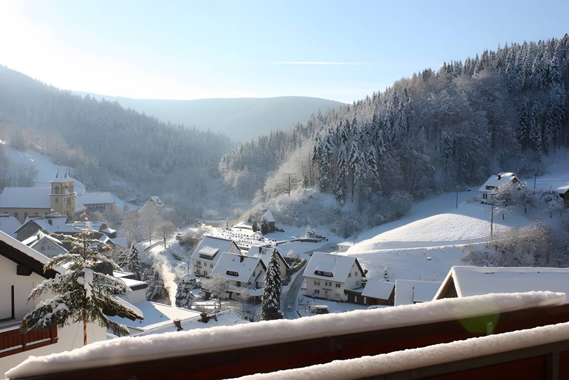 80 M² Huoneisto ∙ 2 Makuuhuonetta ∙ 6 Vierasta - Oberwolfach