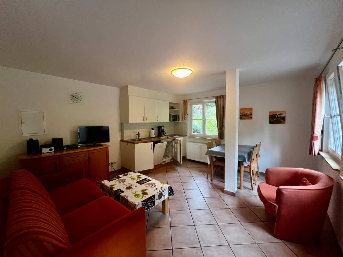 46 M² Ferienwohnung ∙ 1 Schlafzimmer ∙ 4 Gäste - Hausach