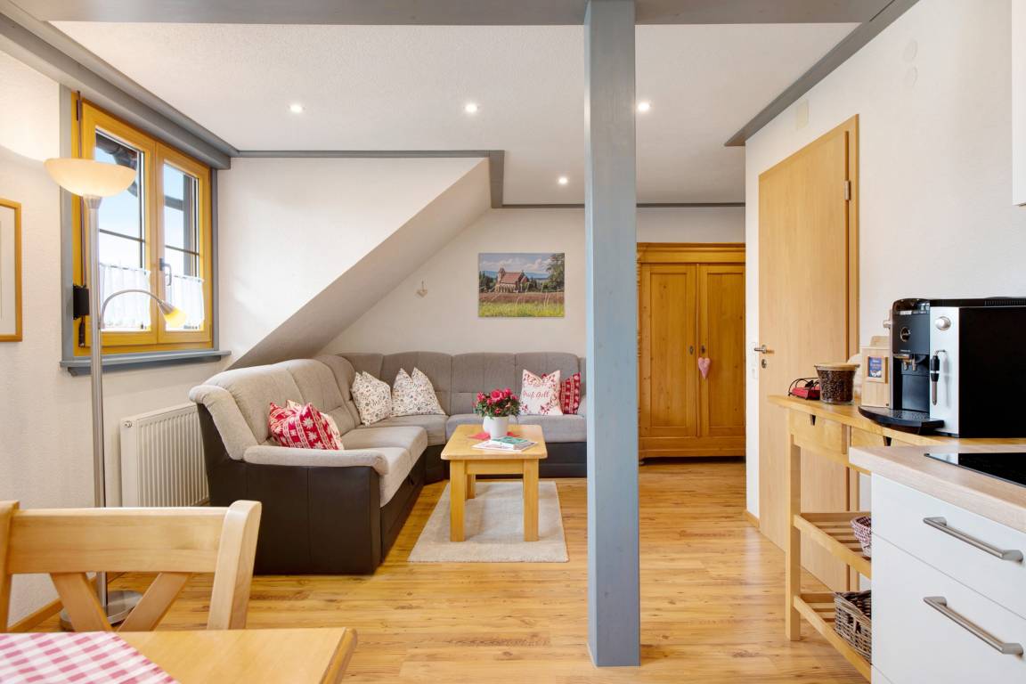 50 M² Appartement ∙ 1 Slaapkamer ∙ 3 Gasten - Ottmarsheim