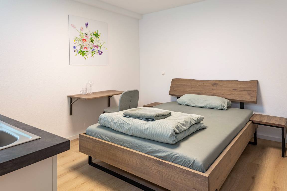19 M² Studio ∙ 1 Schlafzimmer ∙ 2 Gäste - Heitersheim