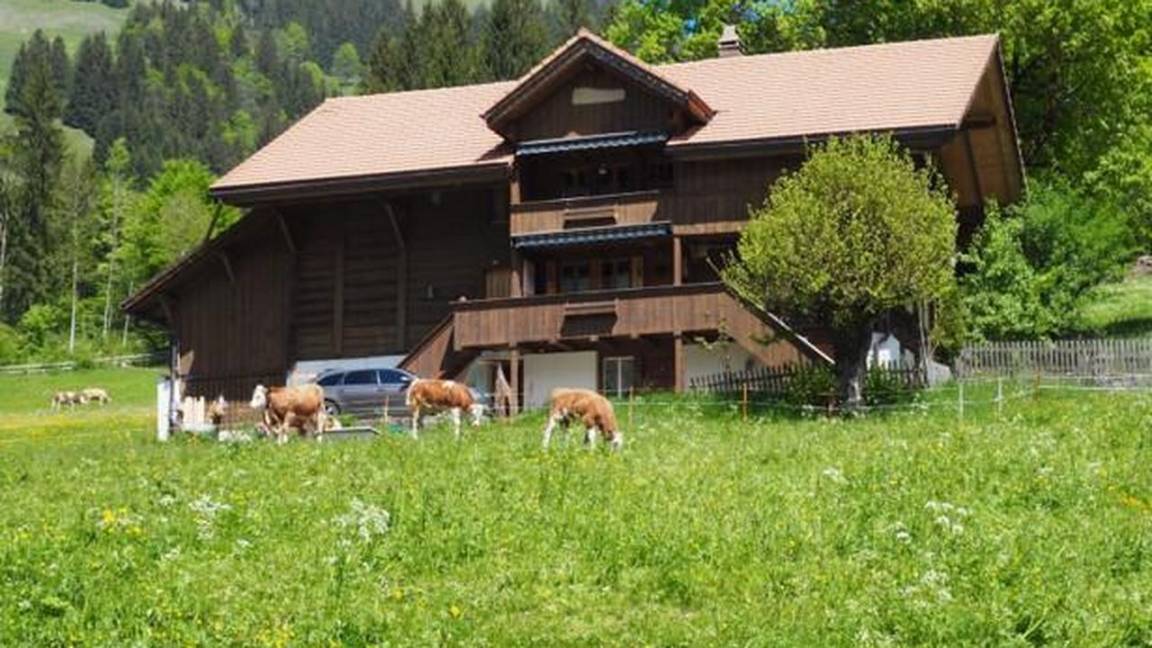 60 M² Ferienwohnung ∙ 1 Schlafzimmer ∙ 2 Gäste - Kiental BE