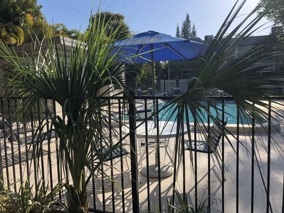 149 M² Appartement En Copropriété ∙ 2 Chambres ∙ 6 Personnes - Sarasota, FL