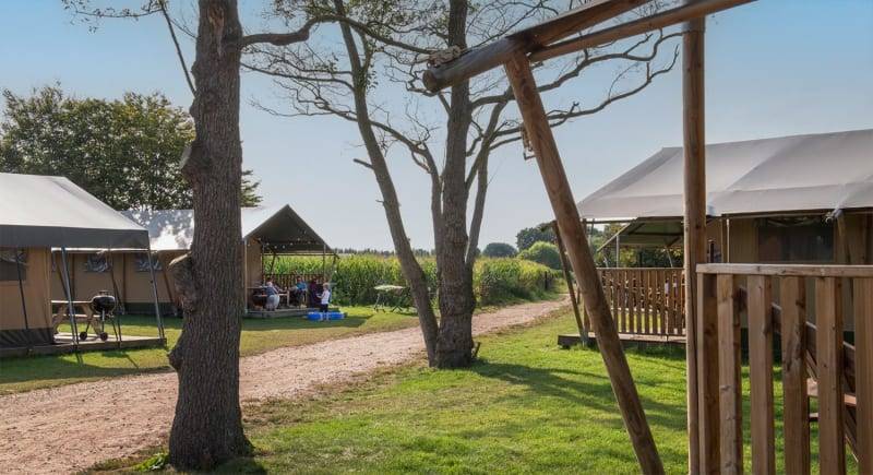 Tent ∙ 3 Bedrooms ∙ 6 Guests - Oisterwijk