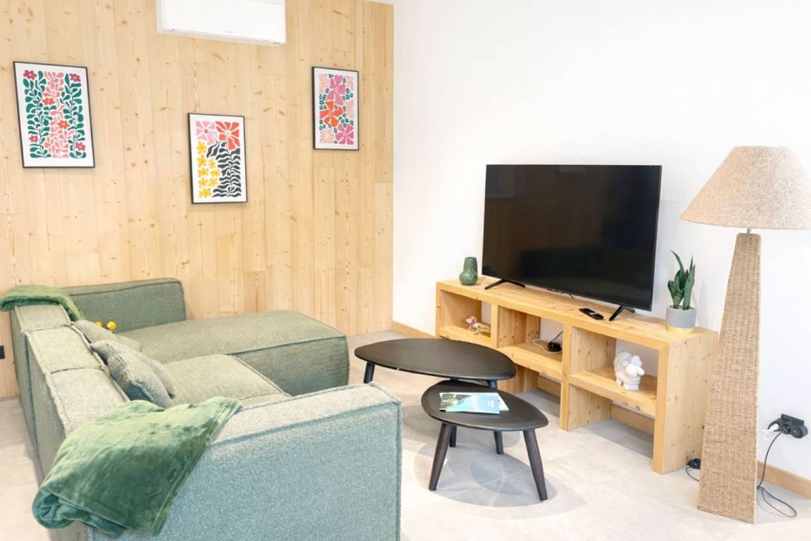 60 M² Apartment ∙ 2 Bedrooms ∙ 4 Guests - Aix-les-Bains