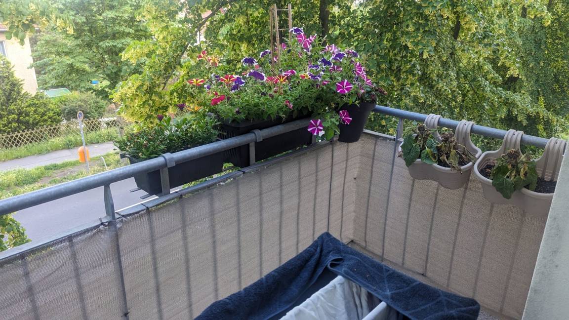 67 M² Appartement ∙ 1 Chambre ∙ 2 Personnes - Berlin