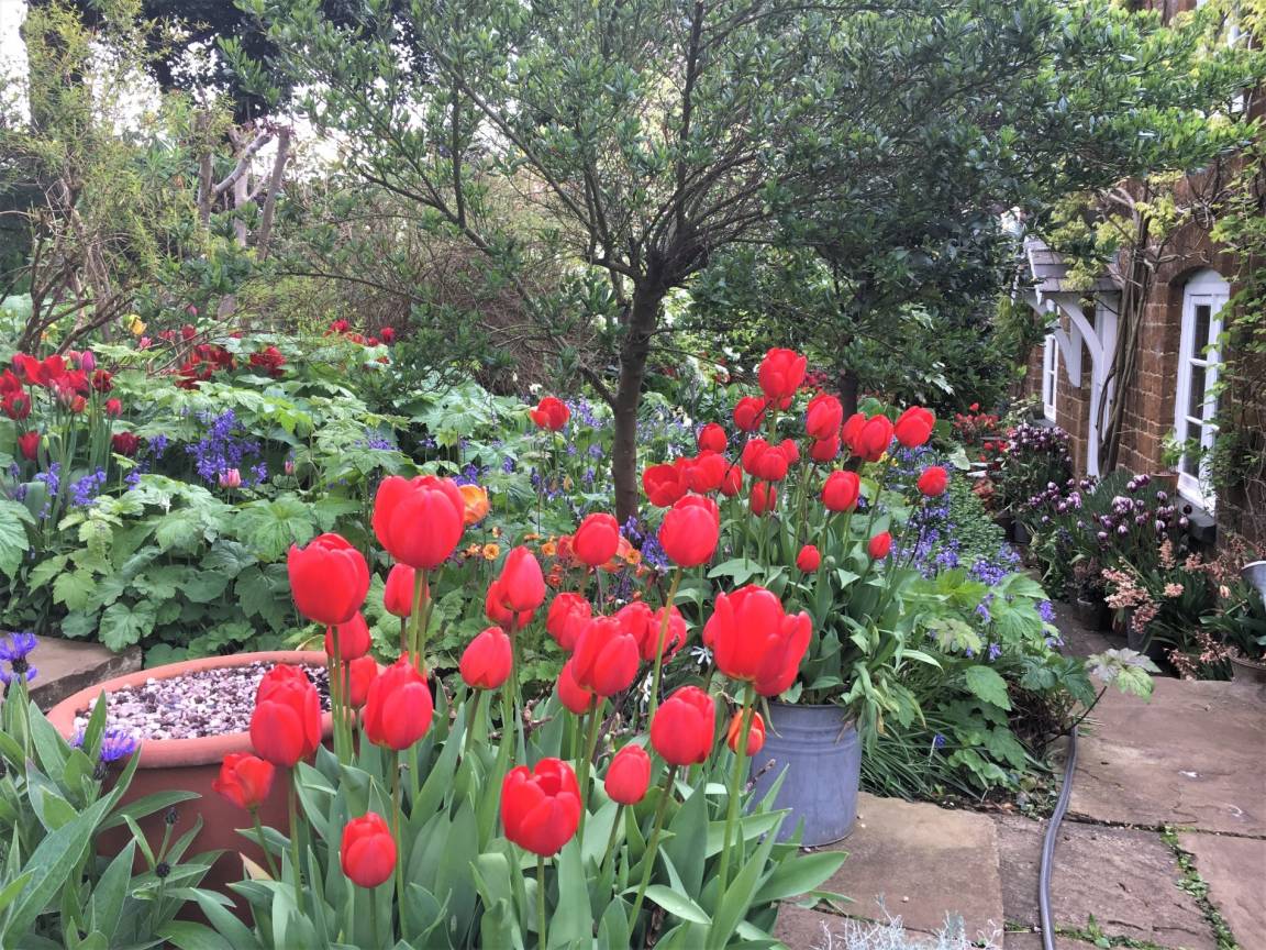 Cottage ∙ 2 Bedrooms ∙ 4 Guests - Chipping Norton