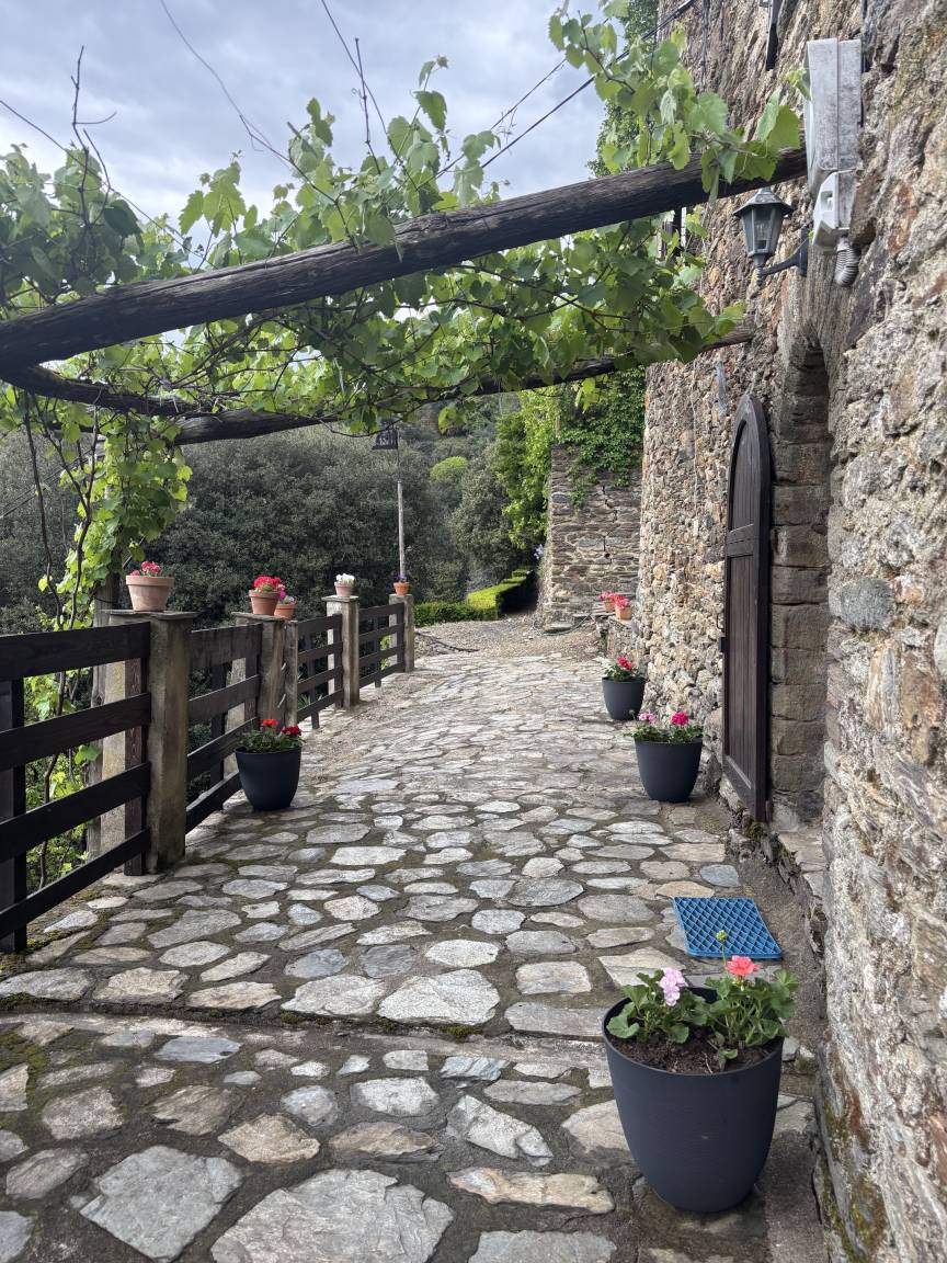 Maison De Vacances ∙ 2 Chambres ∙ 6 Personnes - Parc national des Cévennes