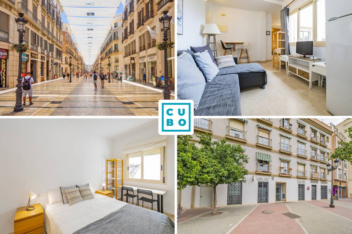 51 M² Apartment ∙ 1 Bedroom ∙ 3 Guests - Malaga, Espagne
