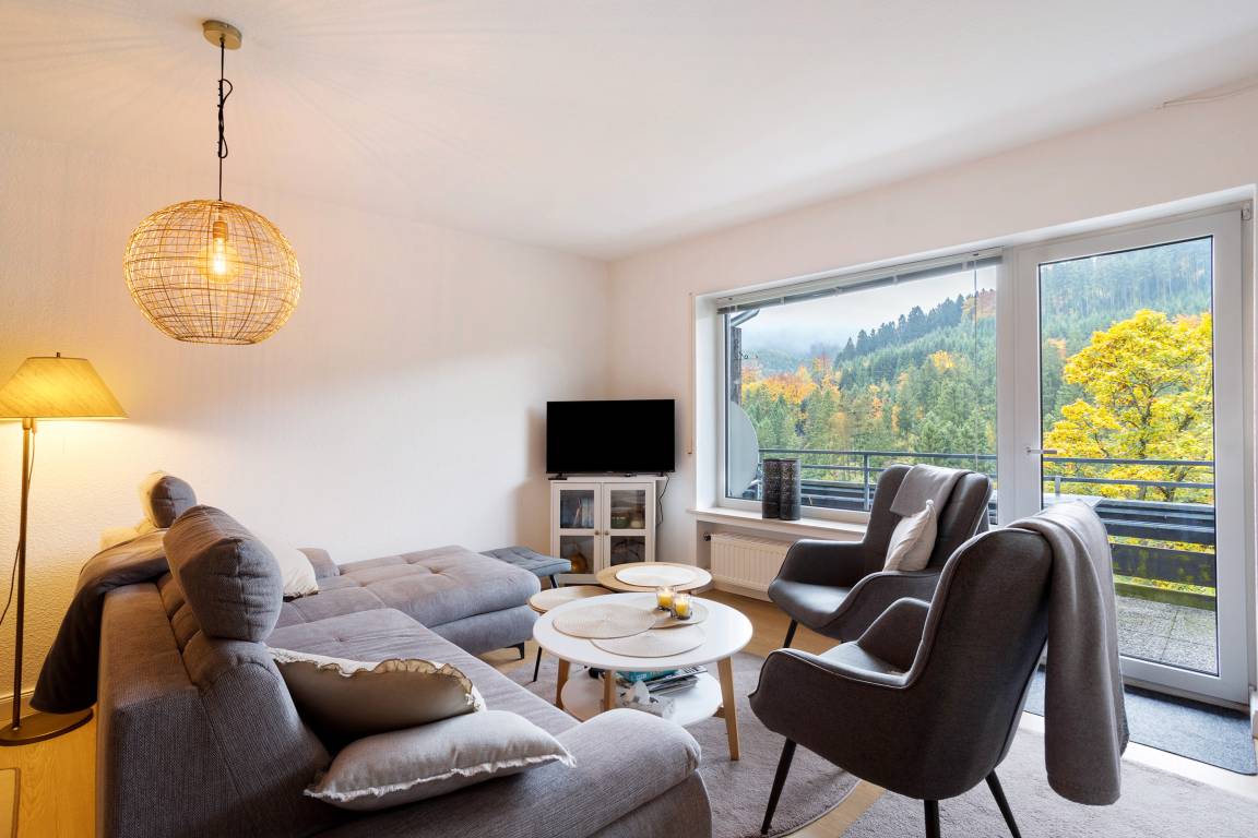 65 M² Apartment ∙ 2 Bedrooms ∙ 5 Guests - Willingen