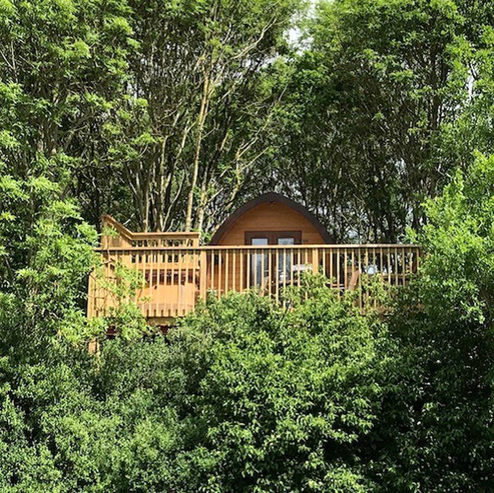 Camping ∙ 1 Bedroom ∙ 2 Guests - Warwickshire