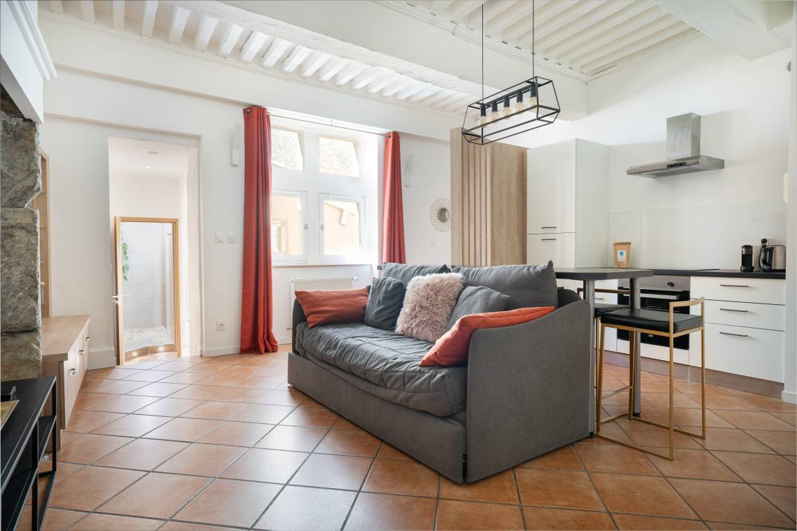 43 M² Appartement ∙ 1 Chambre ∙ 4 Personnes - Lyon