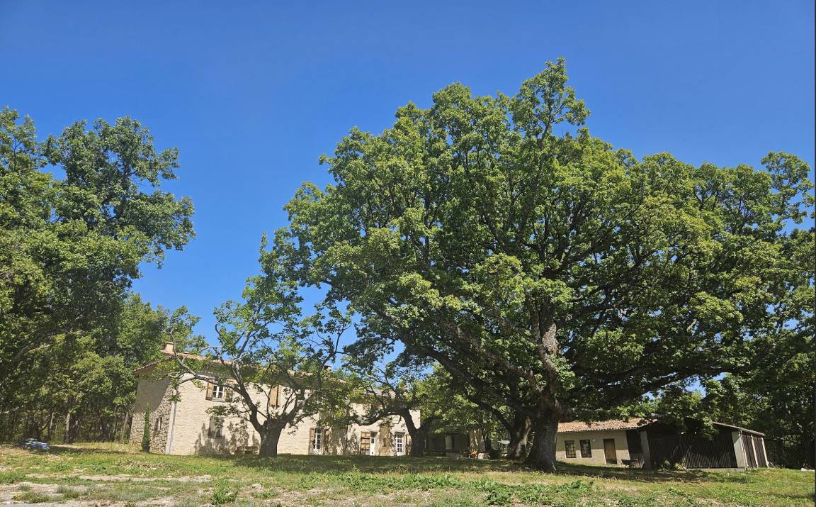 220 M² Maison De Vacances ∙ 4 Chambres ∙ 8 Personnes - Alpes-de-Haute-Provence