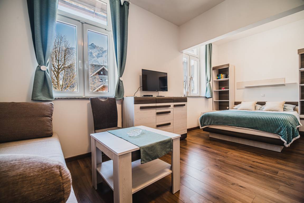28 M² Studio Flat ∙ 1 Bedroom ∙ 4 Guests - Logarska Dolina
