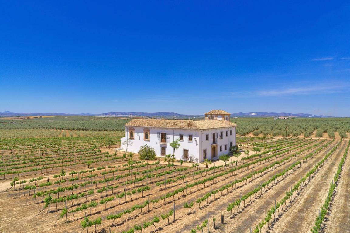 Villa ∙ 4 Habitaciones ∙ 10 Huéspedes - Antequera, España