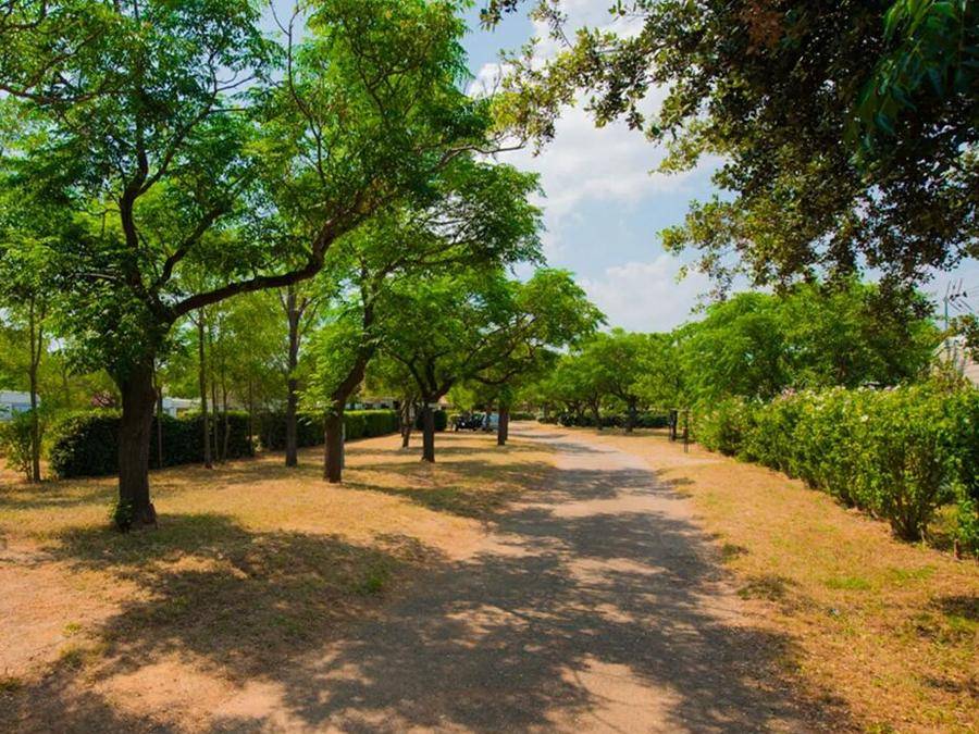 Tent ∙ 2 Bedrooms ∙ 5 Guests - Vic-la-Gardiole