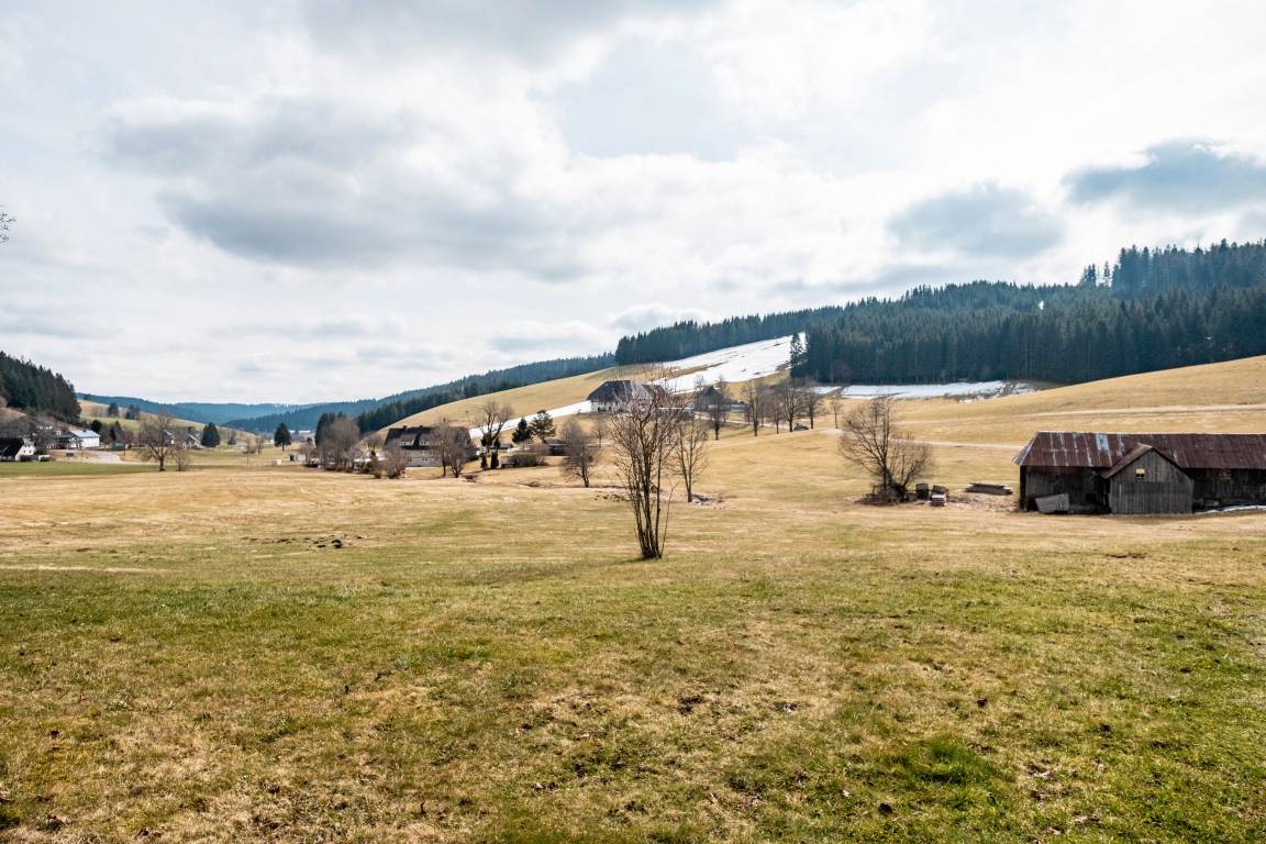 65 M² Apartment ∙ 2 Bedrooms ∙ 4 Guests - Titisee-Neustadt