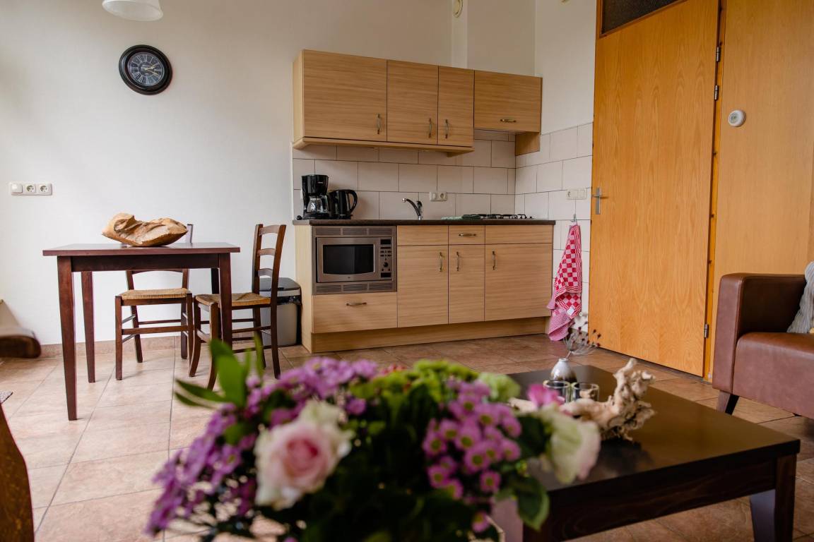Appartement ∙ 1 Slaapkamer ∙ 2 Gasten - Ommen