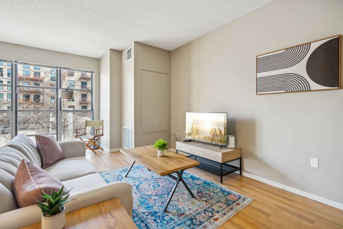 Apartment ∙ 1 Bedroom ∙ 3 Guests - University of Minnesota, Minneapolis