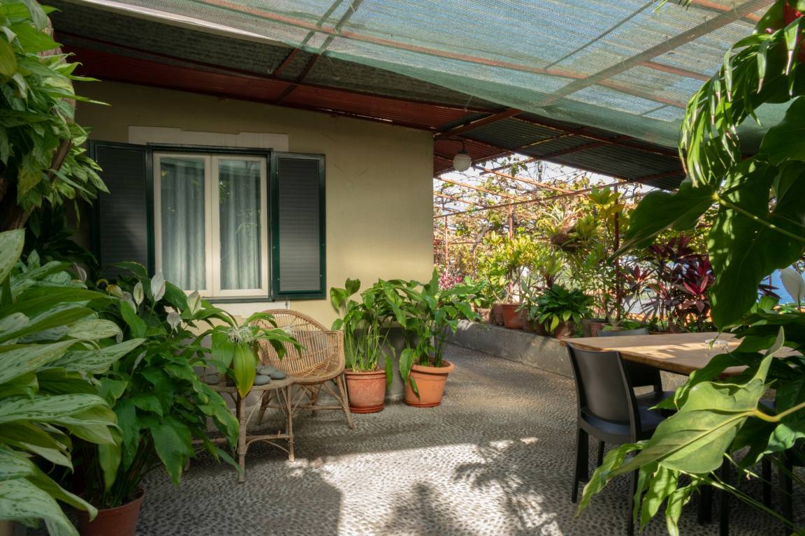 60 M² Chalet ∙ 2 Habitaciones ∙ 4 Huéspedes - Madeira
