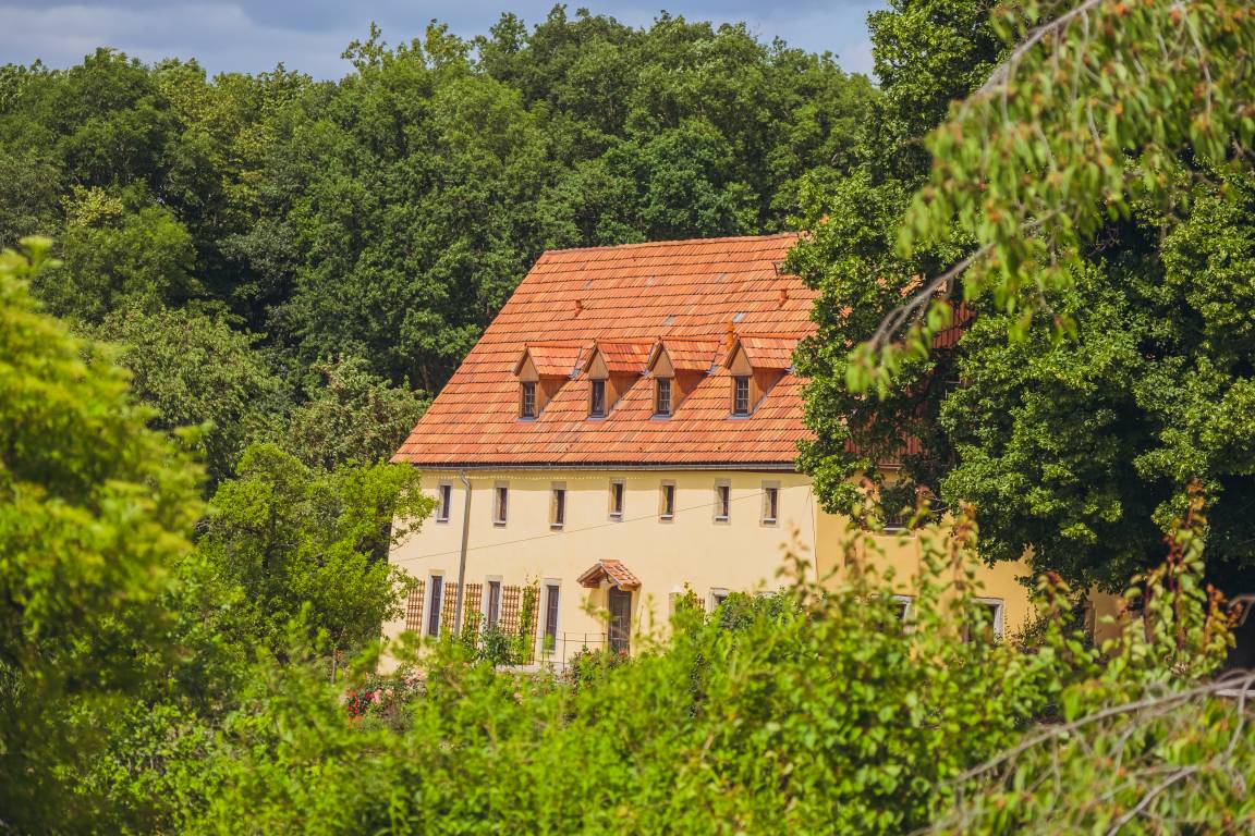 300 M² Ferienhaus ∙ 3 Schlafzimmer ∙ 7 Gäste - Pirna