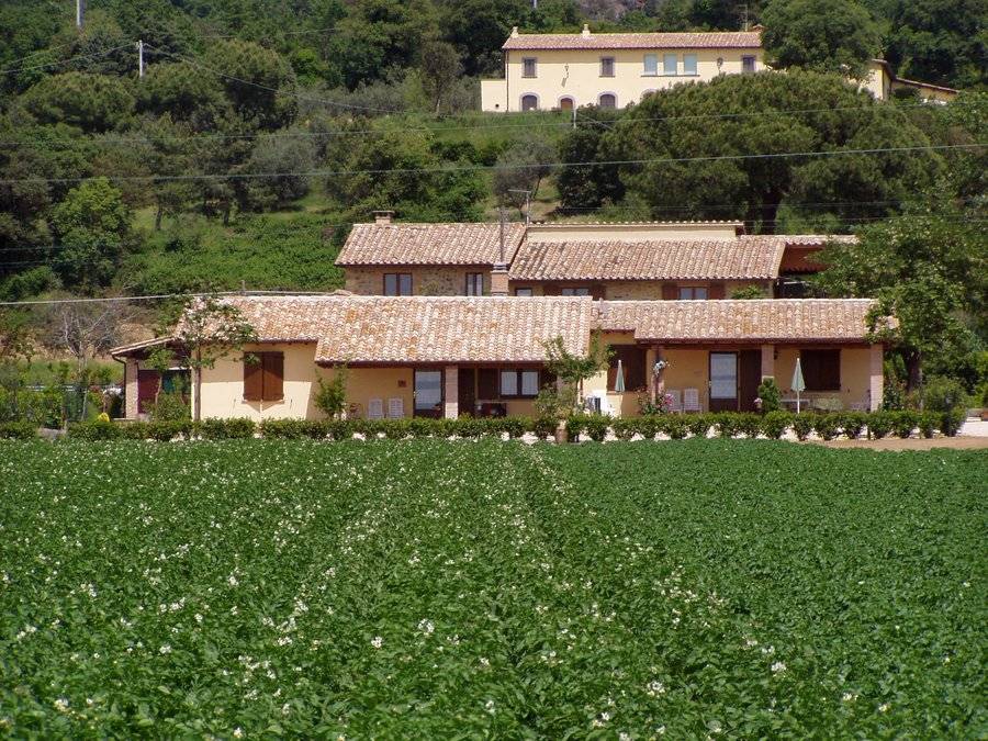 95 M² Private Room ∙ 3 Bedrooms ∙ 8 Guests - Bolsena