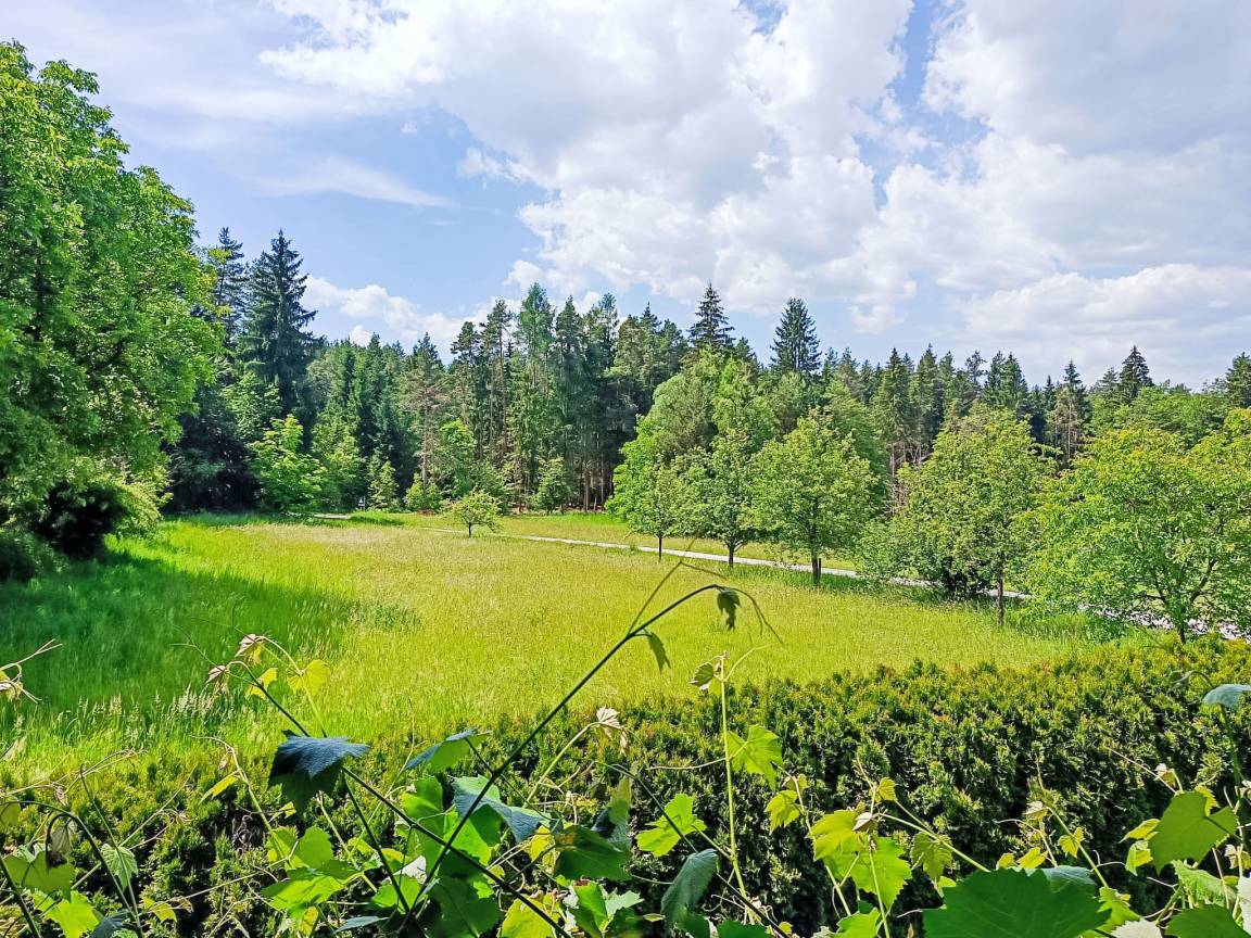 60 M² Apartamento ∙ 1 Habitación ∙ 4 Huéspedes - Wörthersee