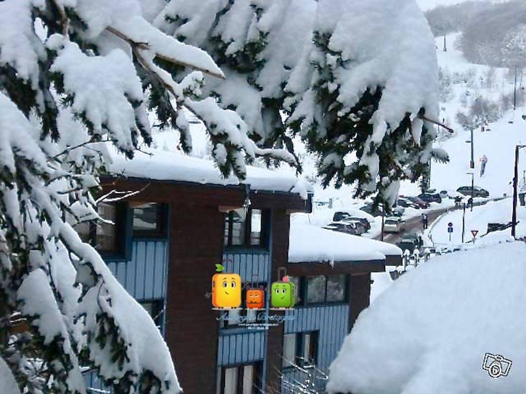 35 M² Gîte ∙ 1 Chambre ∙ 4 Personnes - Besse-et-Saint-Anastaise