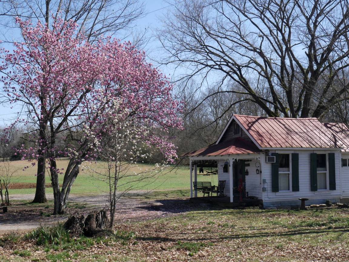 House ∙ 1 Bedroom ∙ 2 Guests - Lynchburg, TN