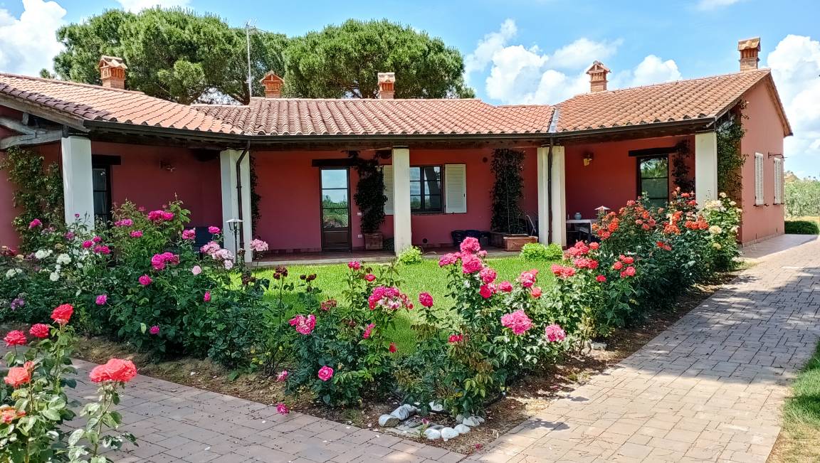 75 M² Bauernhof ∙ 2 Schlafzimmer ∙ 5 Gäste - Castiglione del Lago