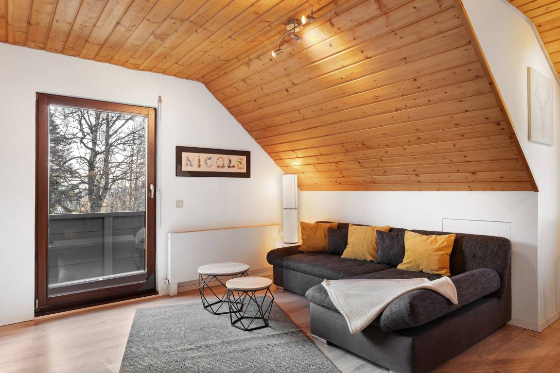 50 M² Appartamento Vacanza ∙ 1 Camera Da Letto ∙ 4 Ospiti - Lenzkirch