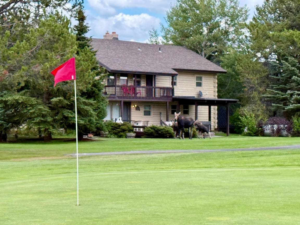 House ∙ 4 Bedrooms ∙ 14 Guests - Island Park, ID